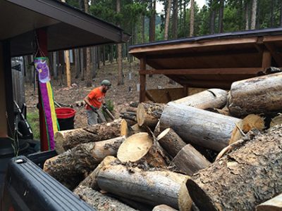 It’s that time of year: Winning at wood – Diary of a mad homeowner